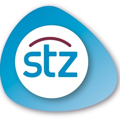 Topklinische erkenning behandeling myomen (vleesbomen) - Gynaecologie